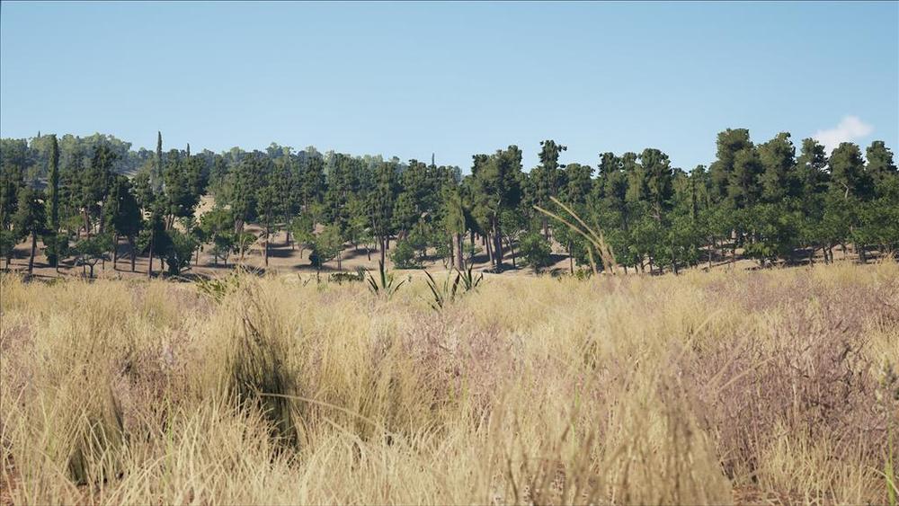 SCUM Release Date, News & Reviews - Releases.com